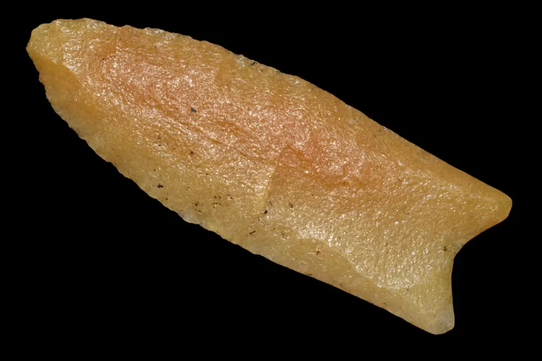 The History of the Clovis Point and Clovis Culture