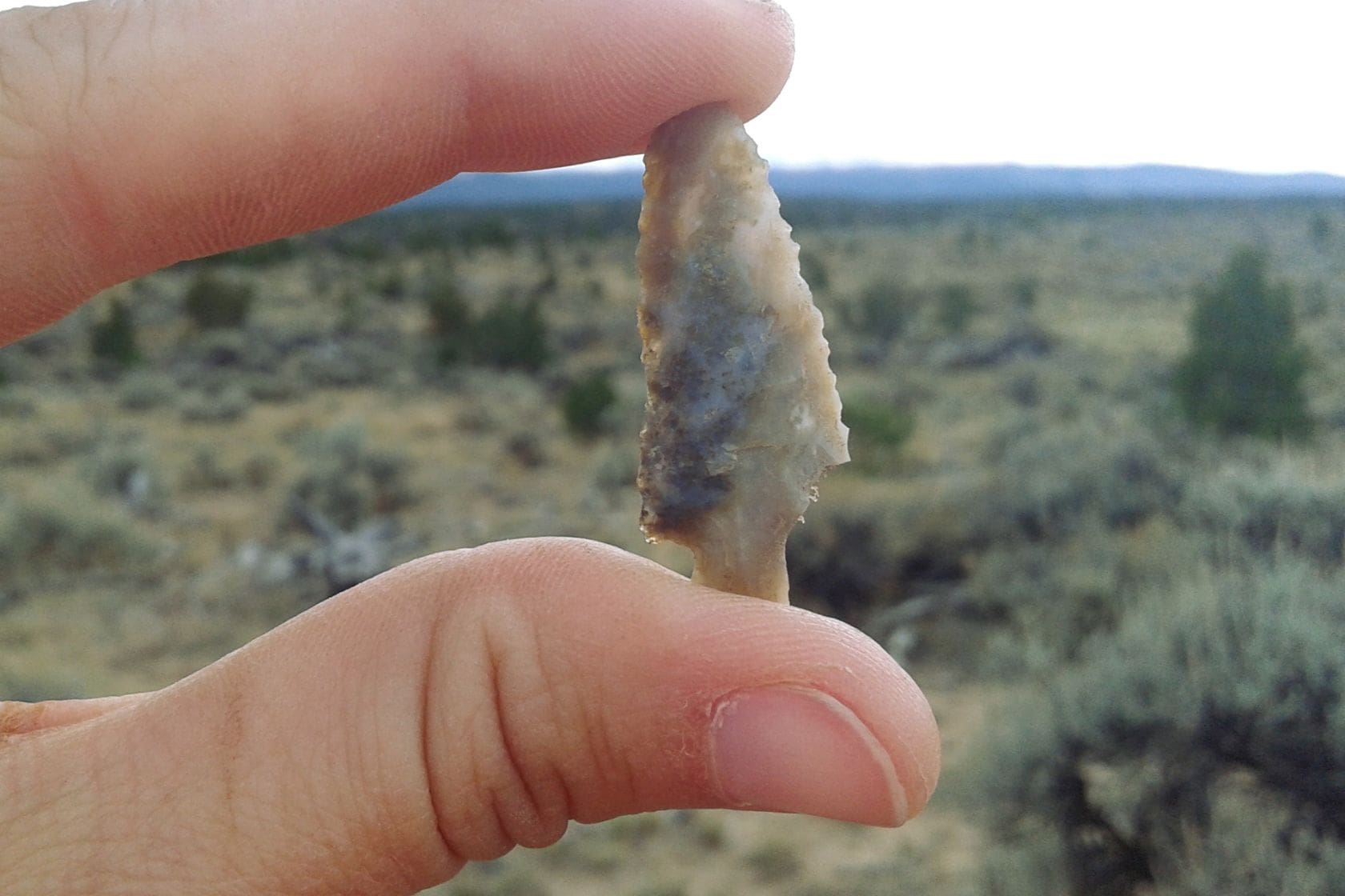 The Art and Science of Arrowhead Hunting: Techniques and Tips for Success