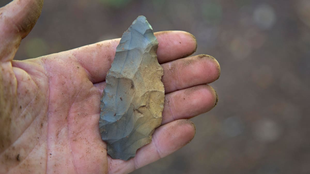 Decoding the Legends: Native American Arrowheads and the Stories They Tell