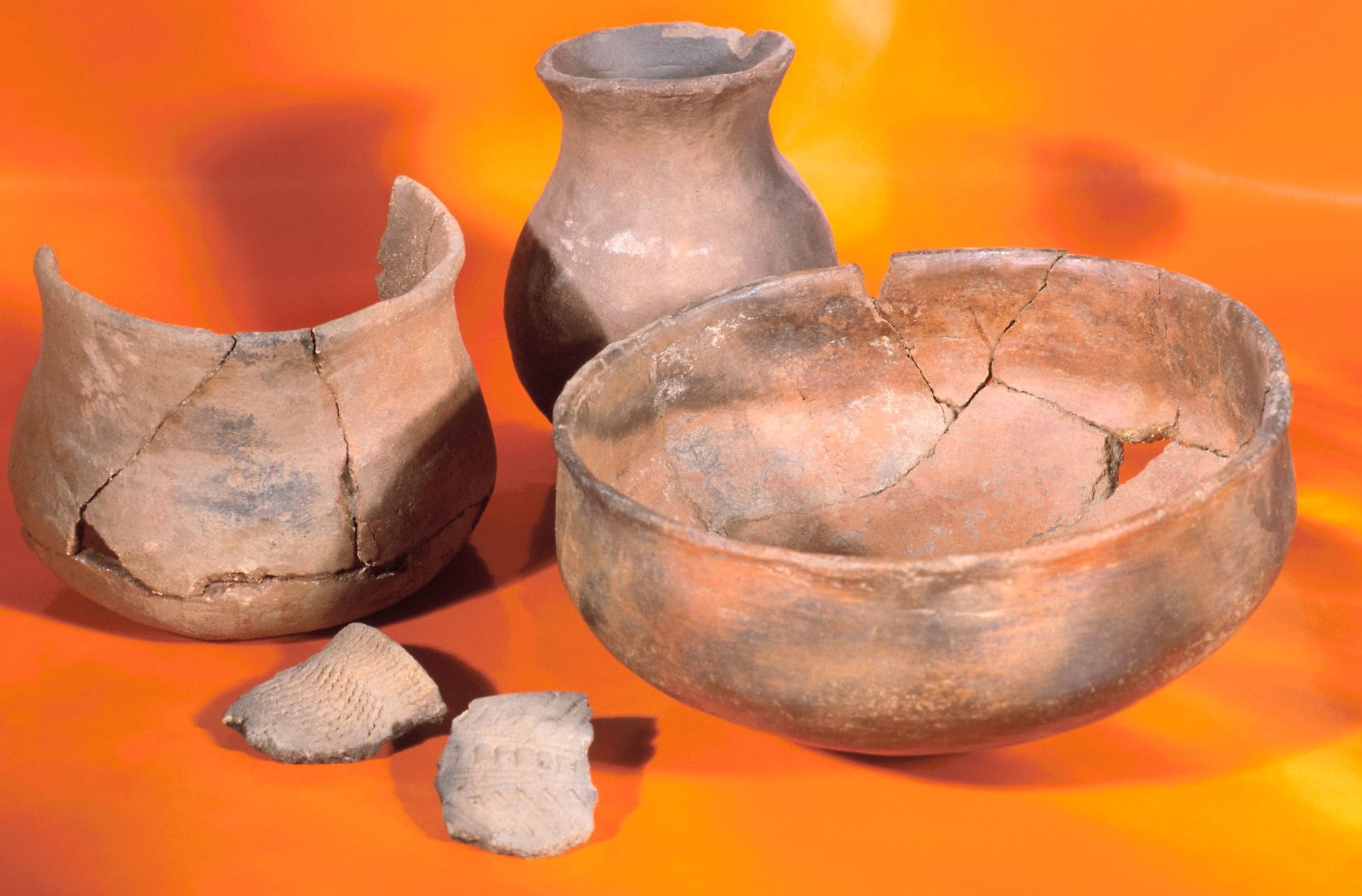 Mastering Artifact Restoration and Preservation with Heartland Artifacts